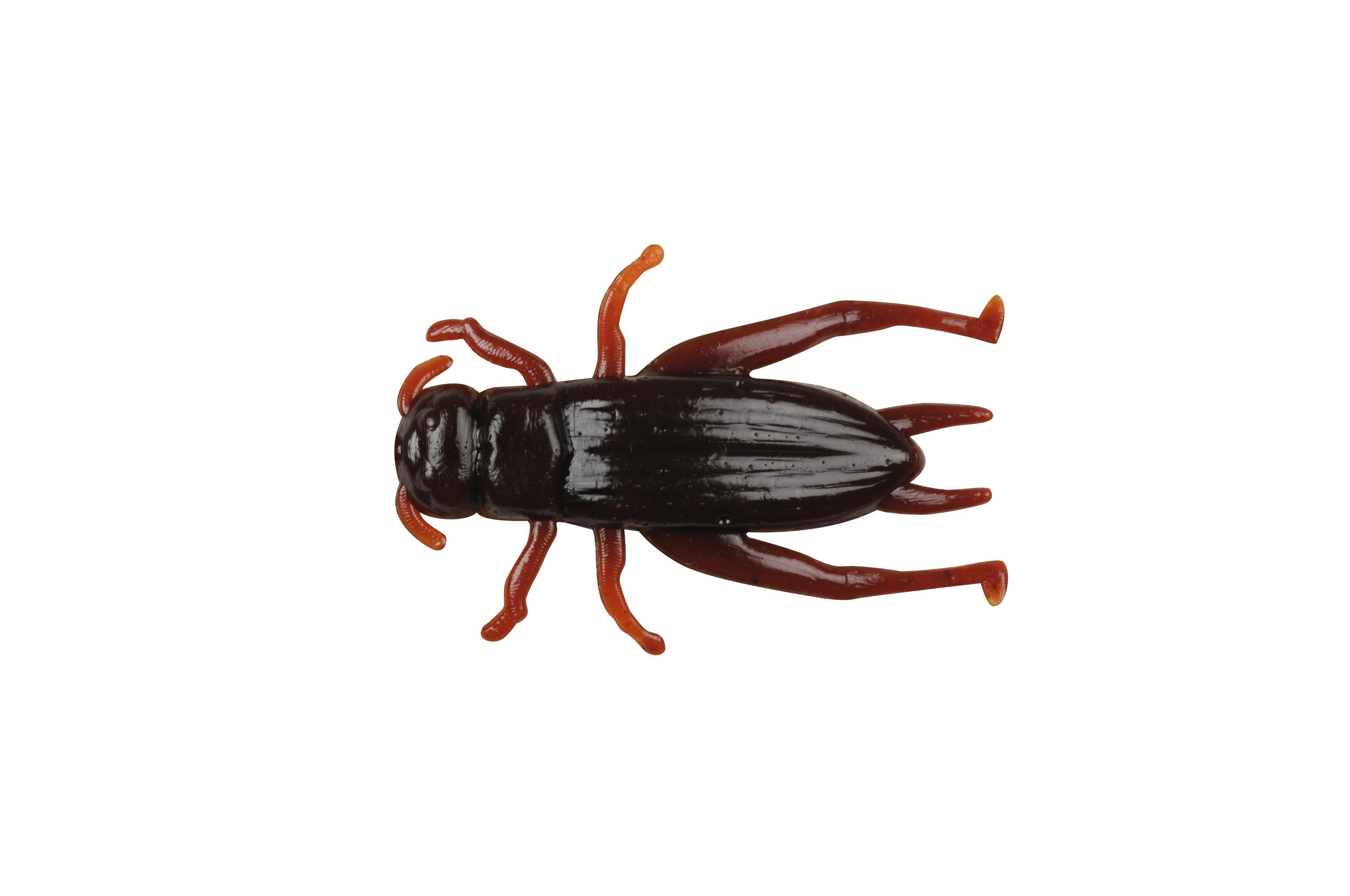 Berkley Gulp! Cricket - Tackle Depot